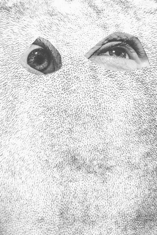 Winners 2018 - The Human Body - Life Framer