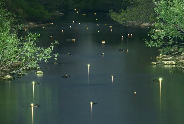 Winners 2020 - Night Life - Life Framer