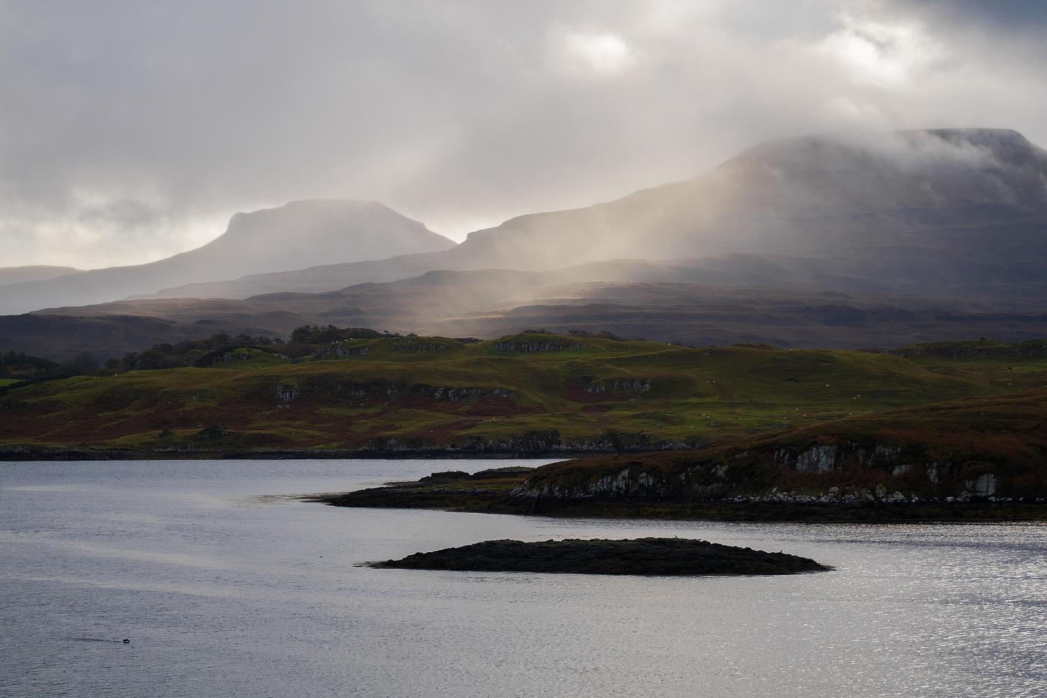 Sara Vitale | LIFE FRAMER