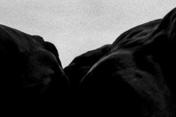 Fanta Kaba | LIFE FRAMER